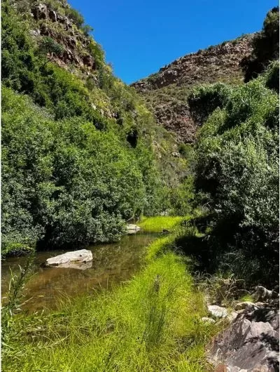 The Leopard Trail - explore the remarkable Baviaanskloof
